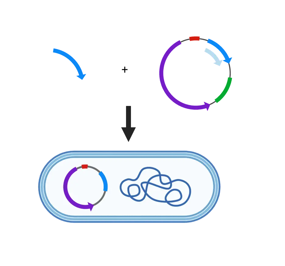 Home | Protec Diagnostics